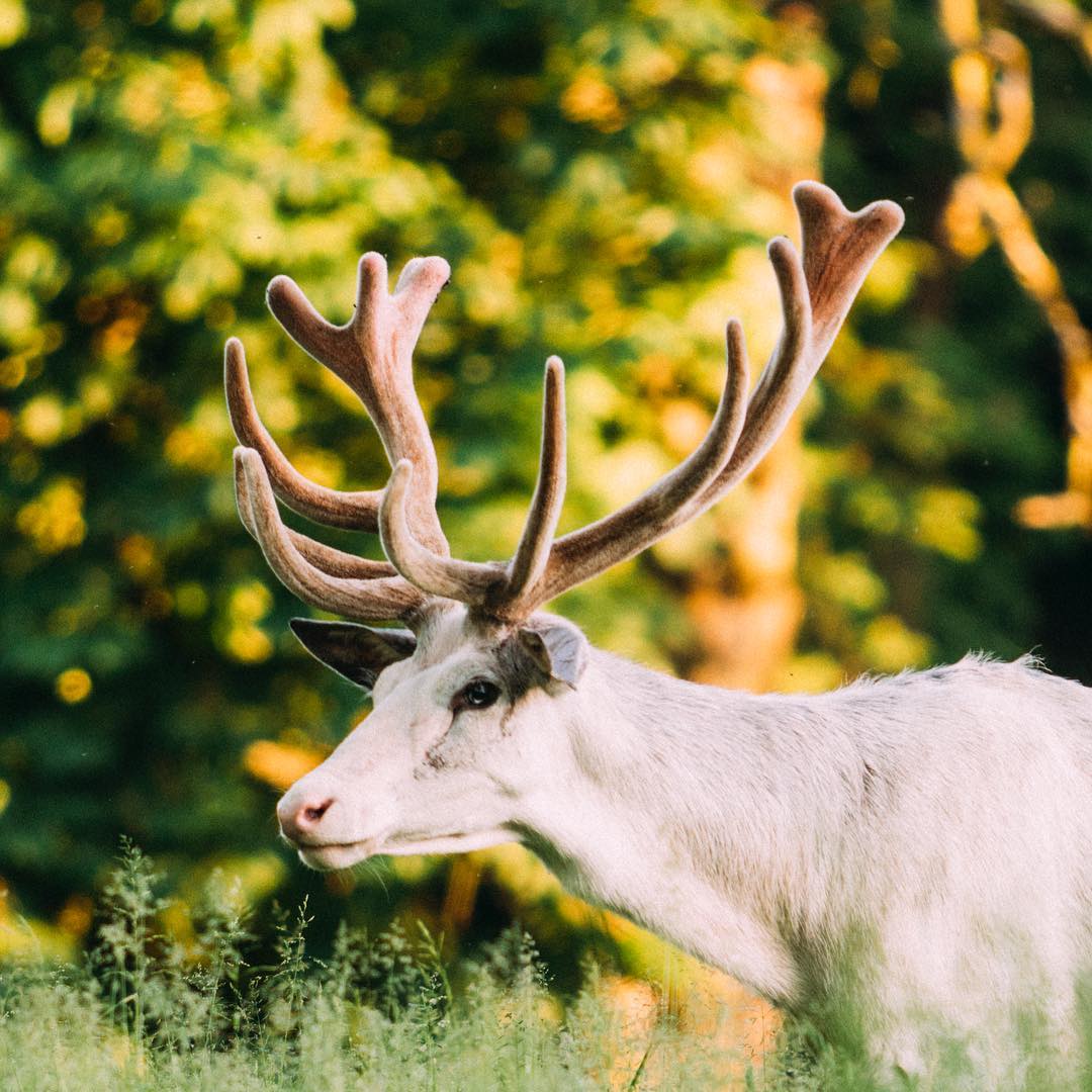 Het Zleby Park - Tsjechië Tips